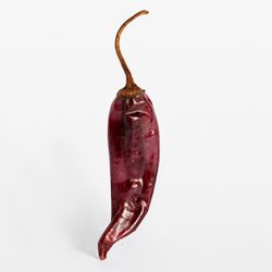 CHILE GüERO | Las Ficheras